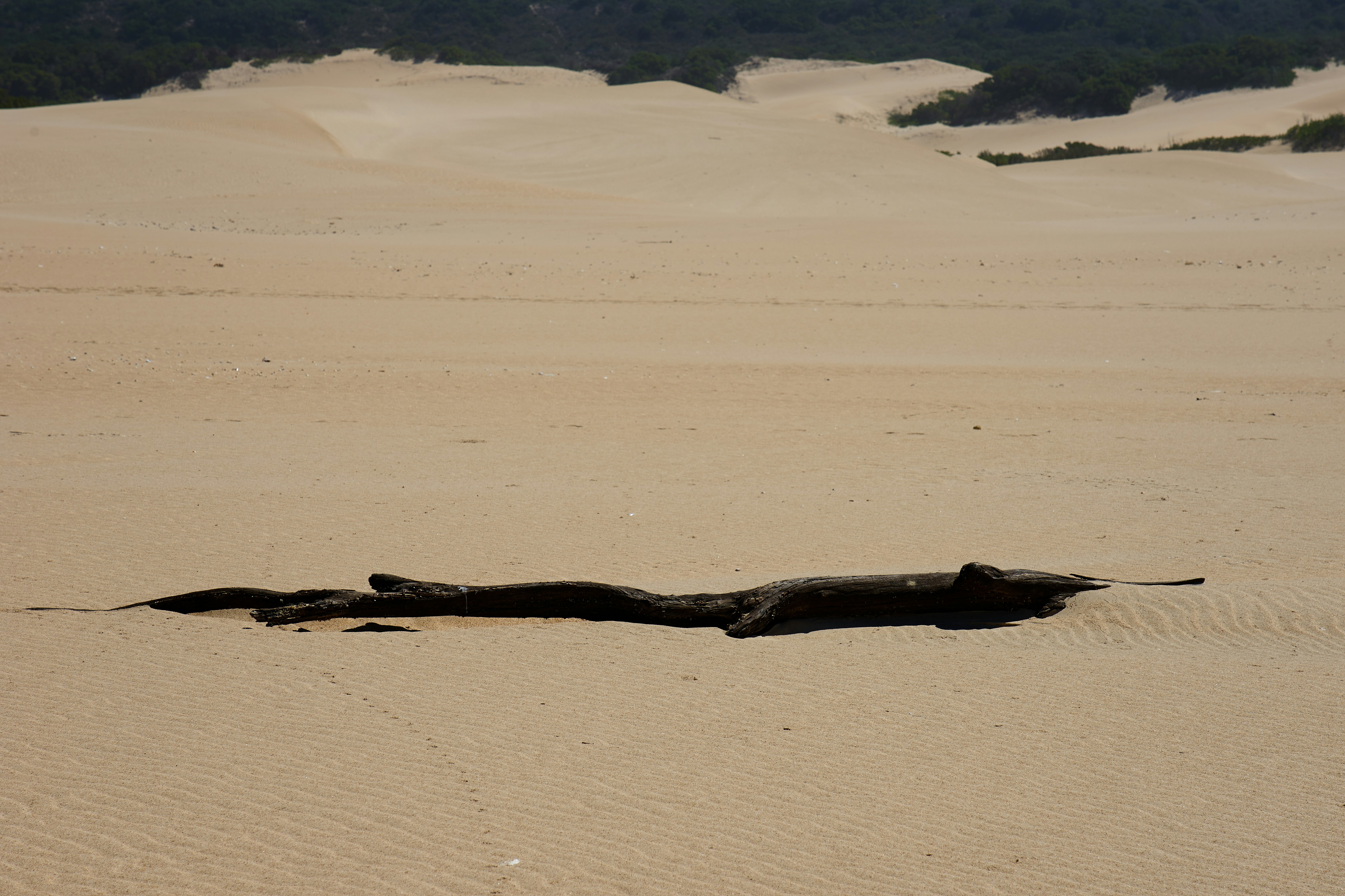 Visit Sigatoka Sand Dunes National Park, Fiji - Travel Info, Top ...